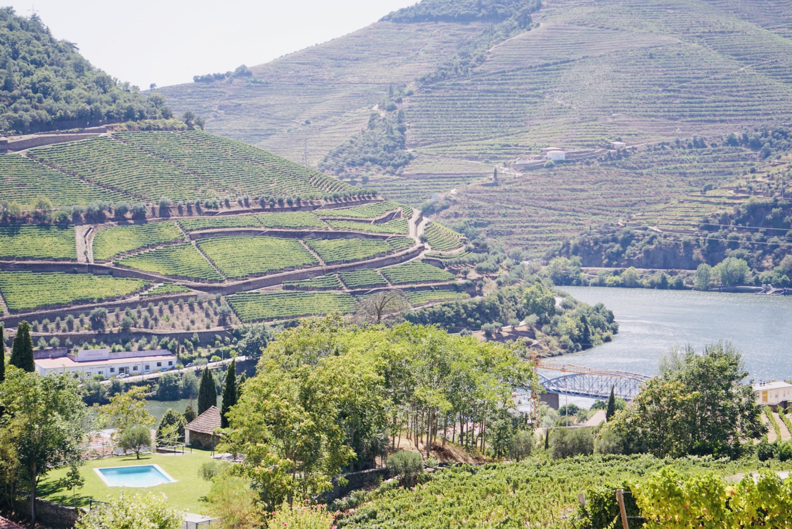 Douro Valley Wine Tour, with Sample Itinerary – Katya Cox – PM Abroad